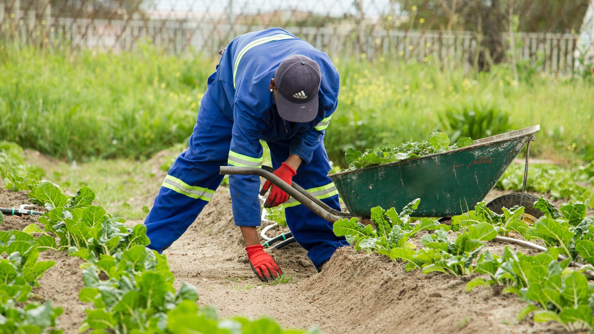 Rangs Group | Rangs Group